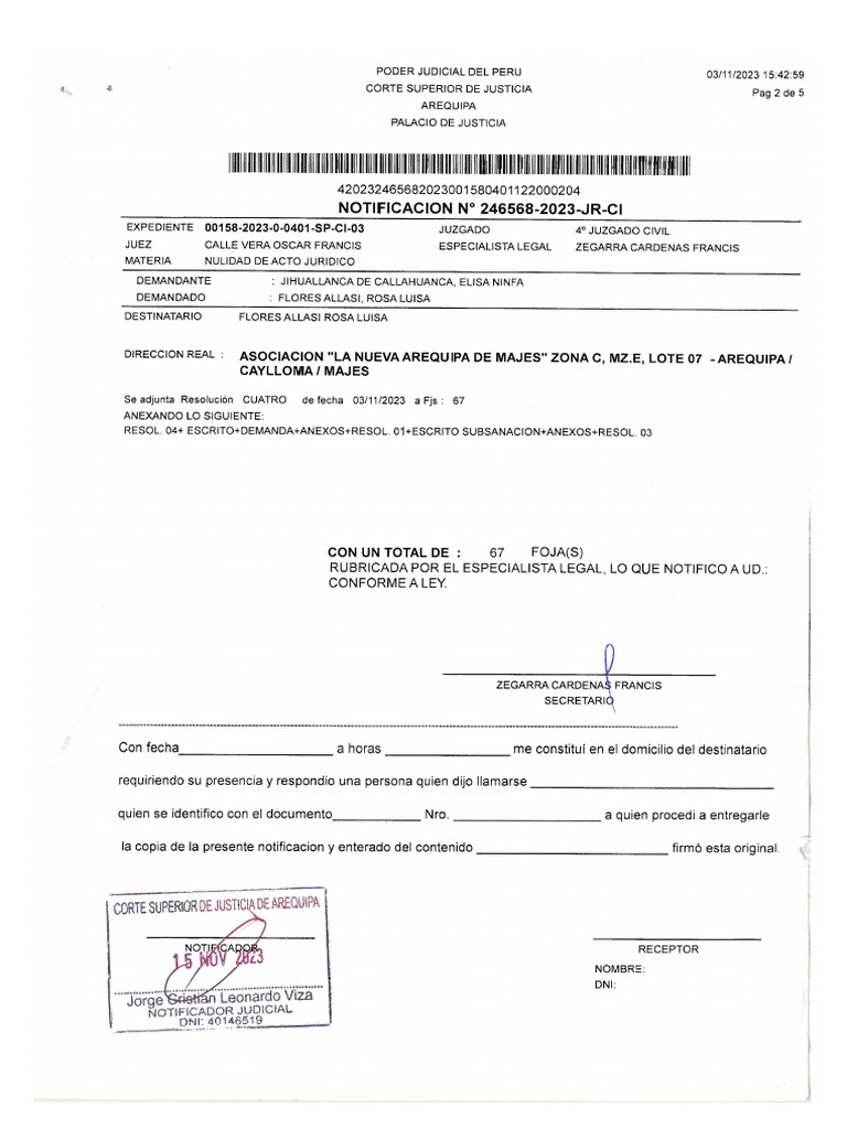 Expediente Judicial Carátula | PDF