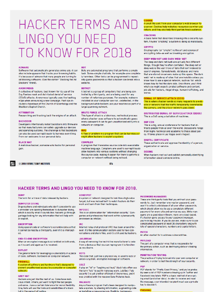 Hacker Terms and Lingo | PDF