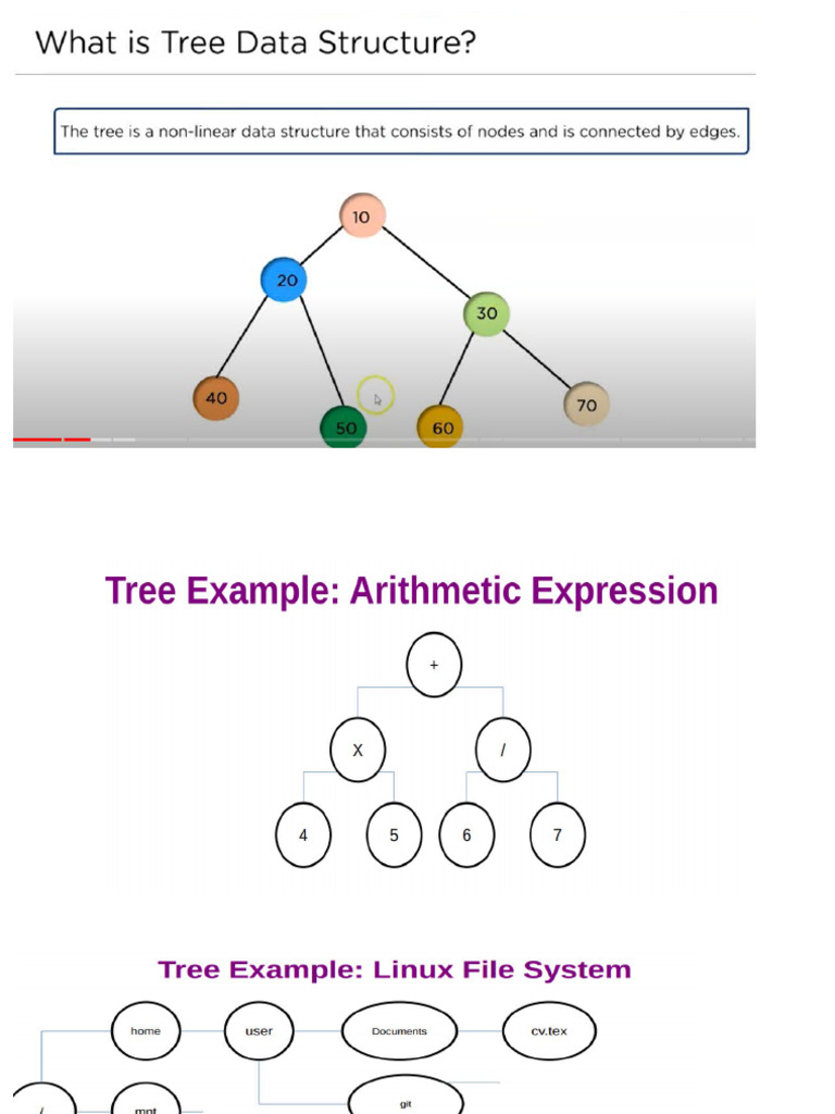 Tree | PDF