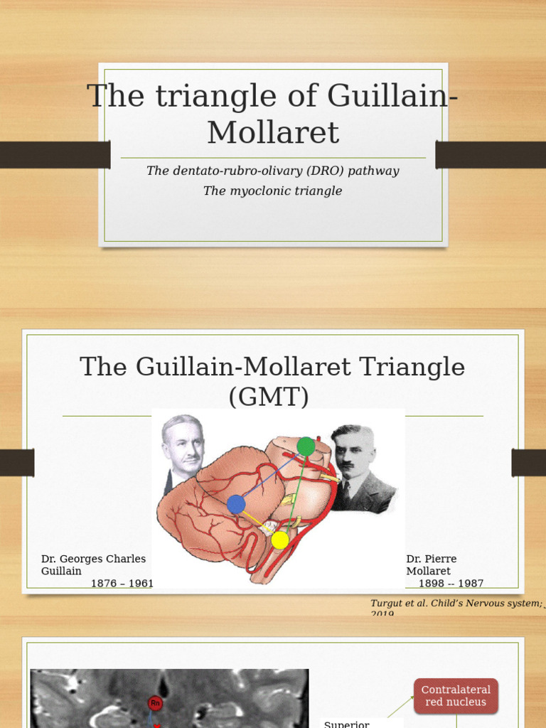 The Triangle of Guillain-Mollaret | PDF