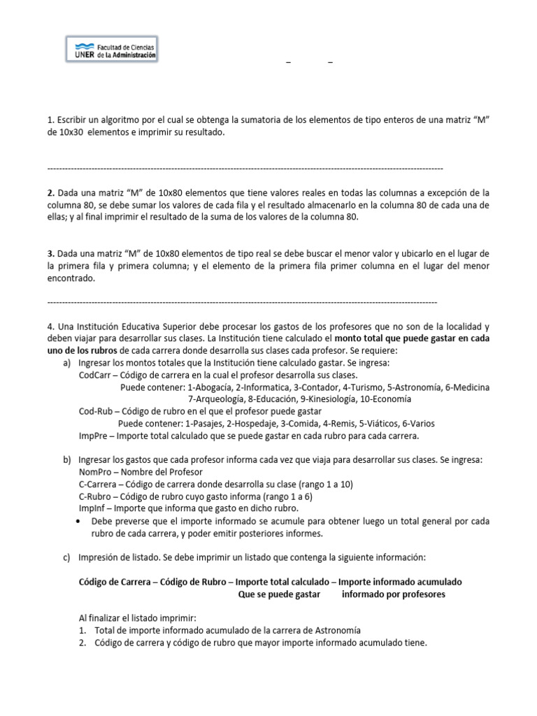 Guia De Matrices Pdf