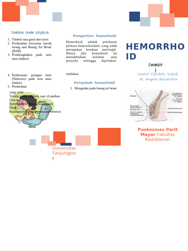 Leaflet Hemoroid | PDF