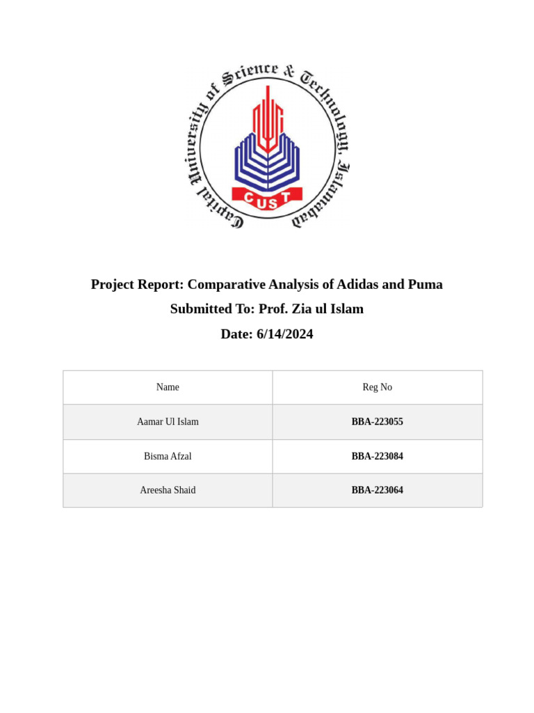 Accounting Final Project With Graph | PDF