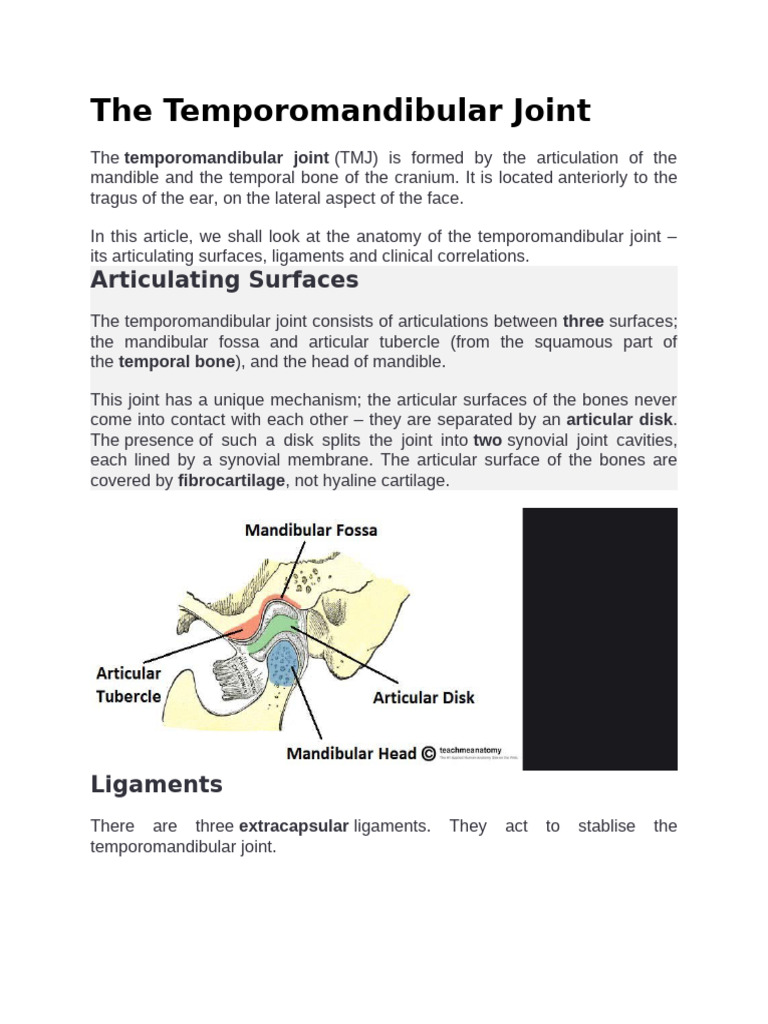 The Temporomandibular Joint | PDF