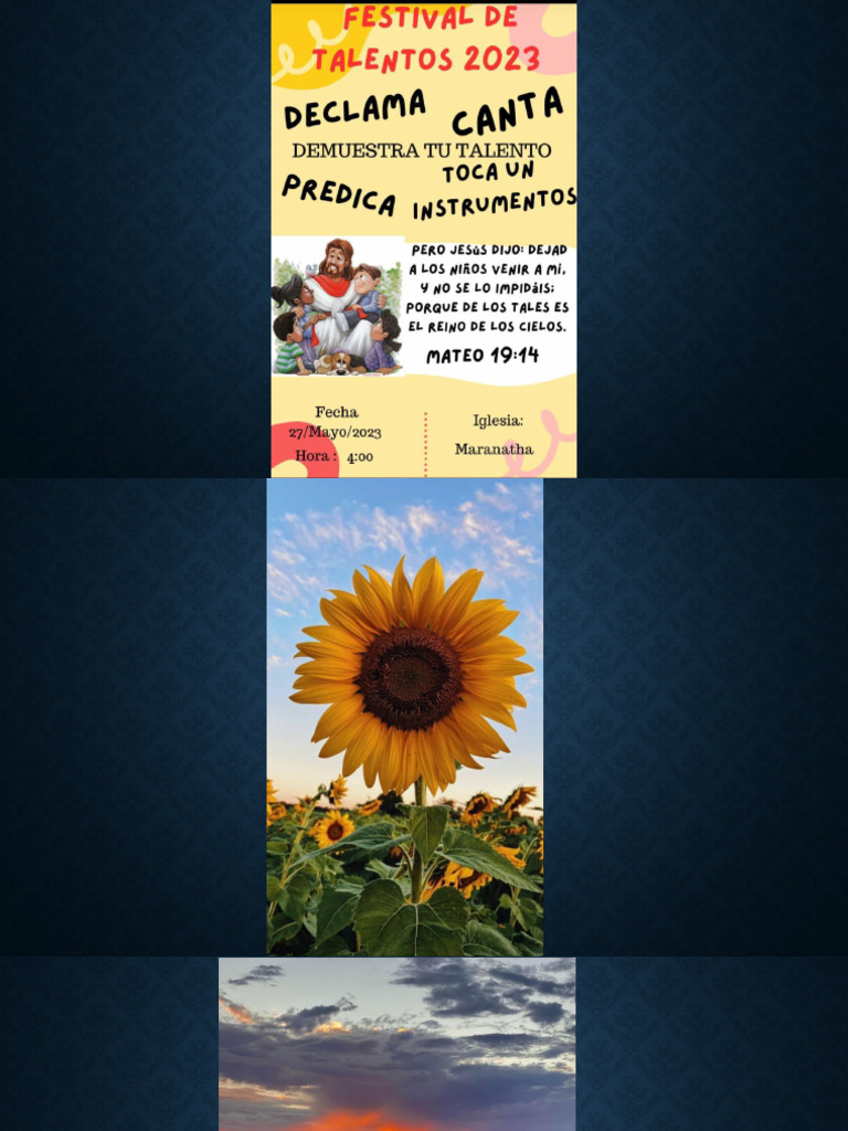 Presentación1 PTR | PDF