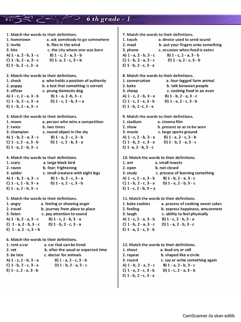 6ci Sinif Definition | PDF
