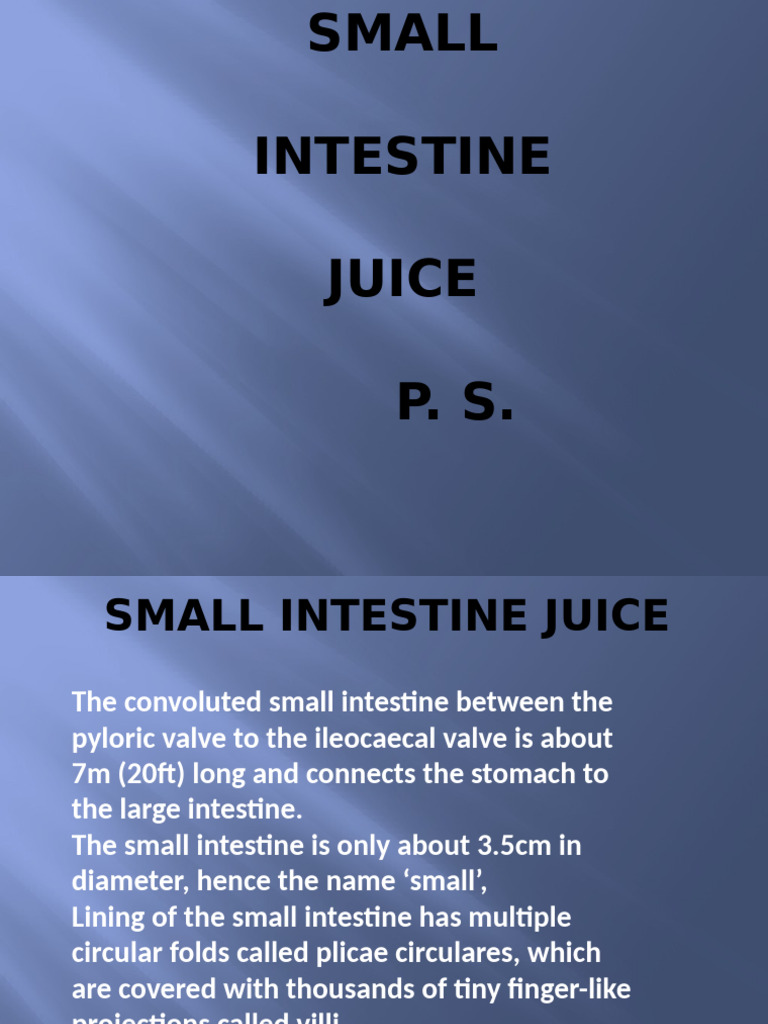Small Intestine Juice | PDF