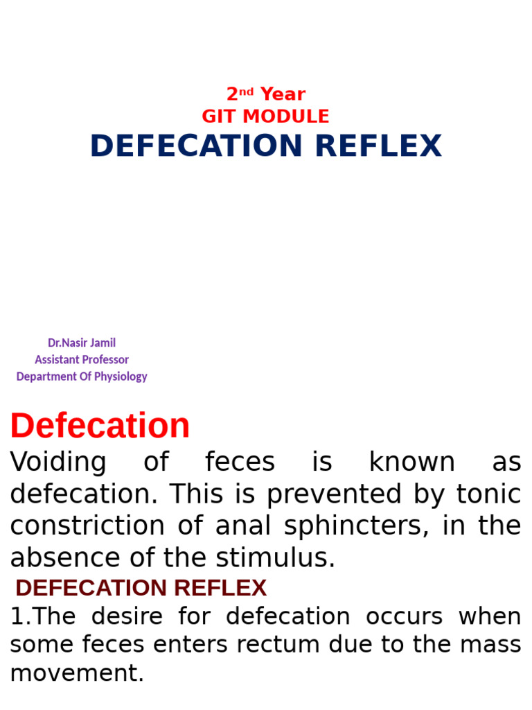 Defecation Reflex | PDF