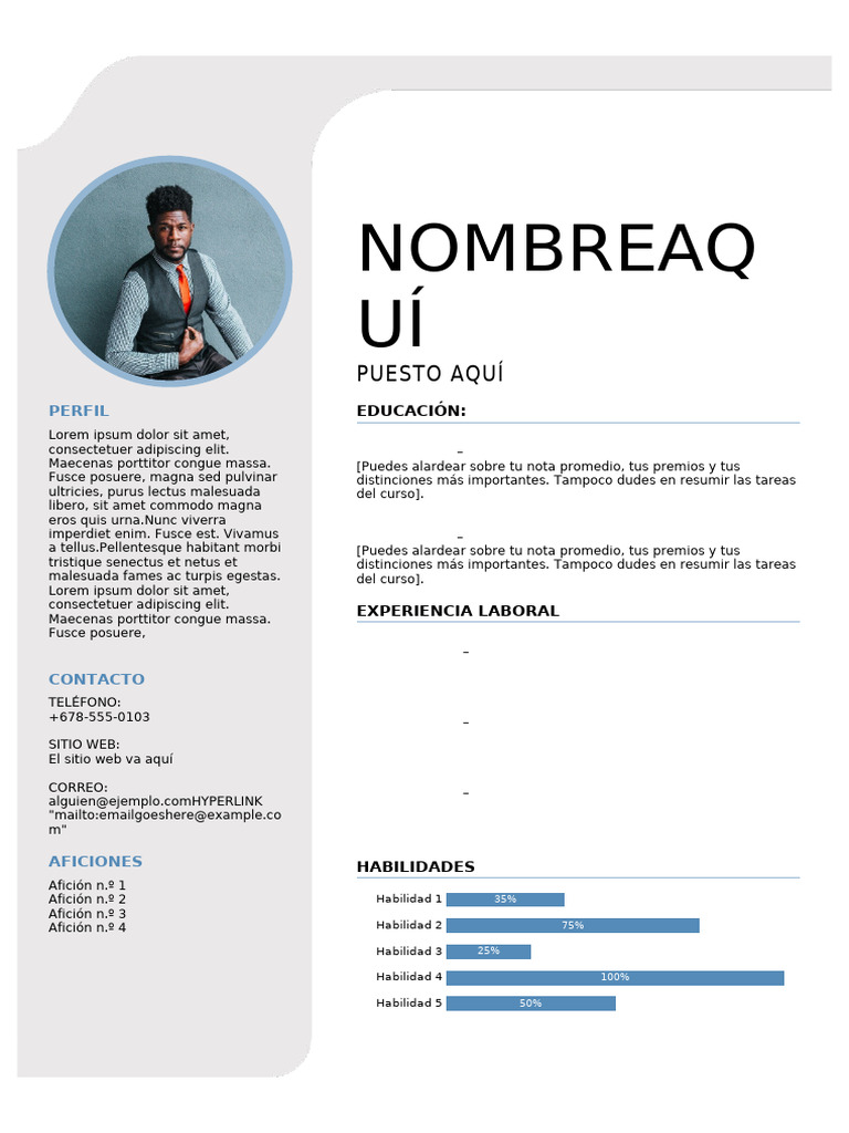 CV Ejemplo Profesional | PDF