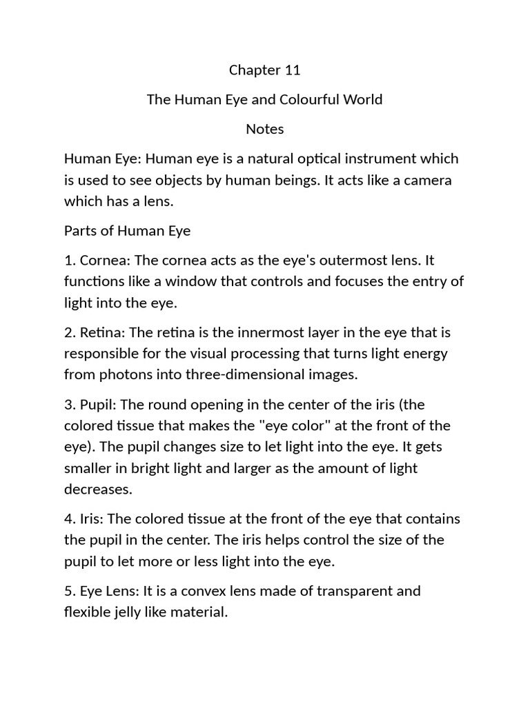 Human Eye: Structure and Function | PDF | Eye | Science & Mathematics