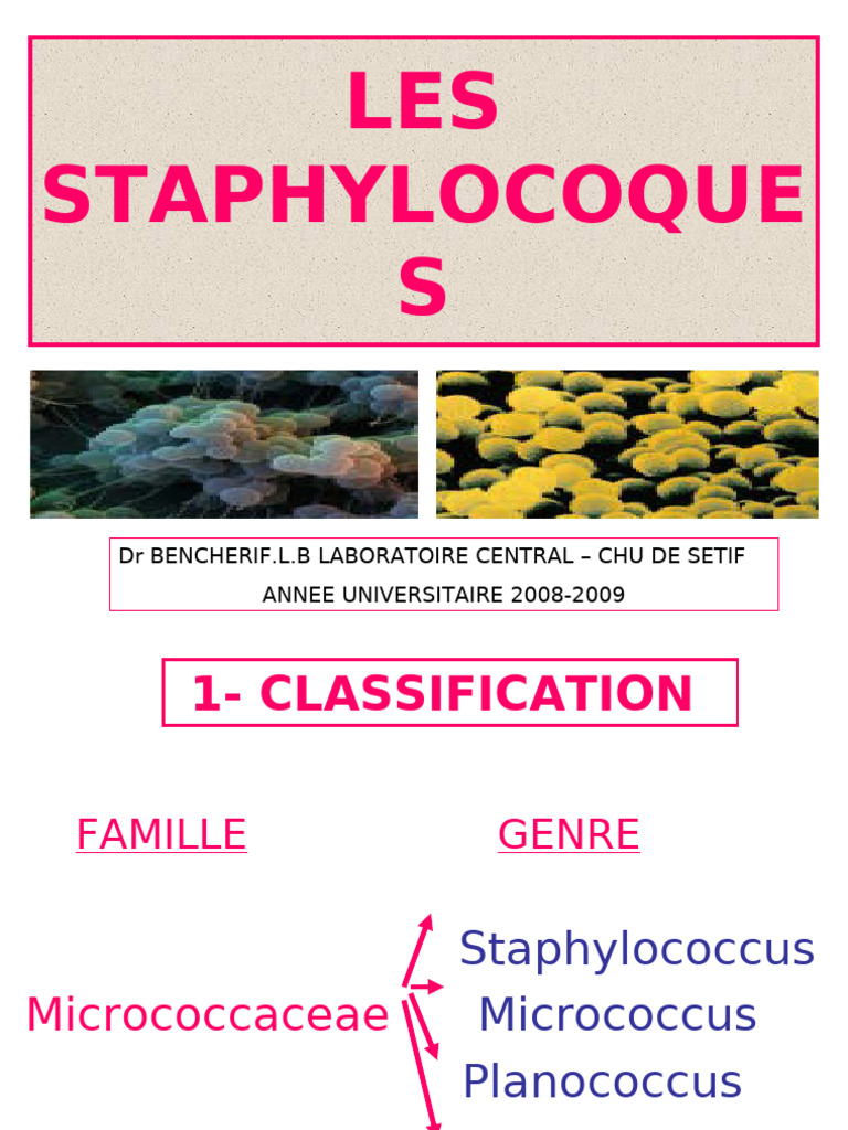 LES STAPHYLOCOQUES Residents | PDF