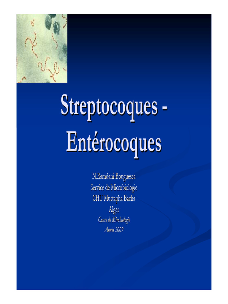 Streptocoques - Entérocoques - DR Ramdani | PDF
