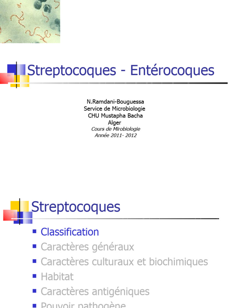 Streptocoques 2012 | PDF