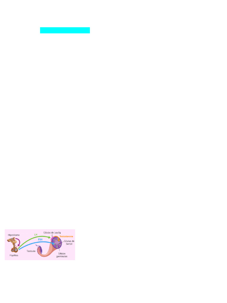 Banco de Preguntas Uro-1-1 | PDF