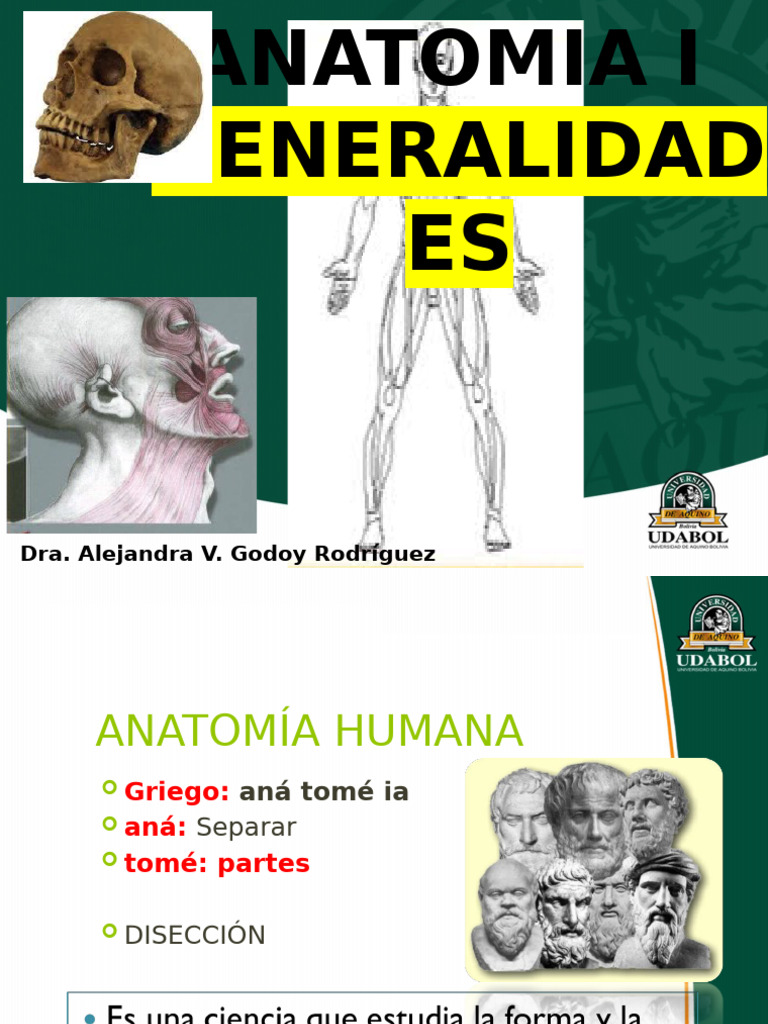 Generalidades de Anatomia | PDF