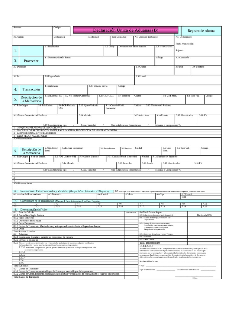 Aduana Formato B-DAM VACIA | PDF