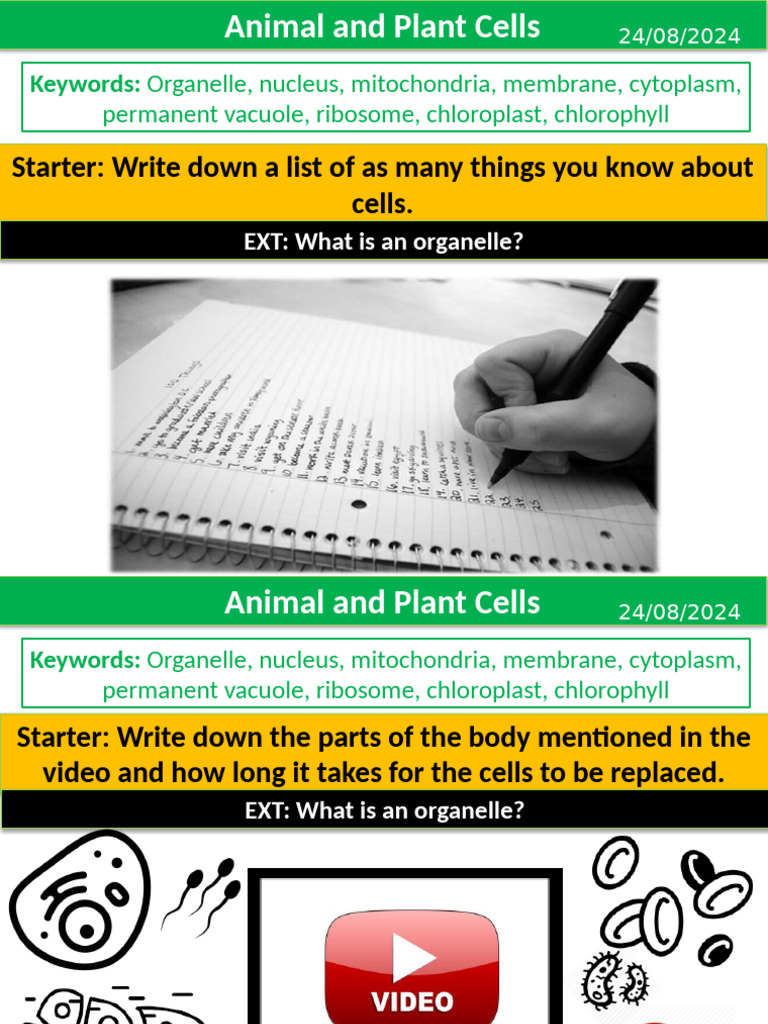 BWA L2 Animal and Plant Cells | PDF