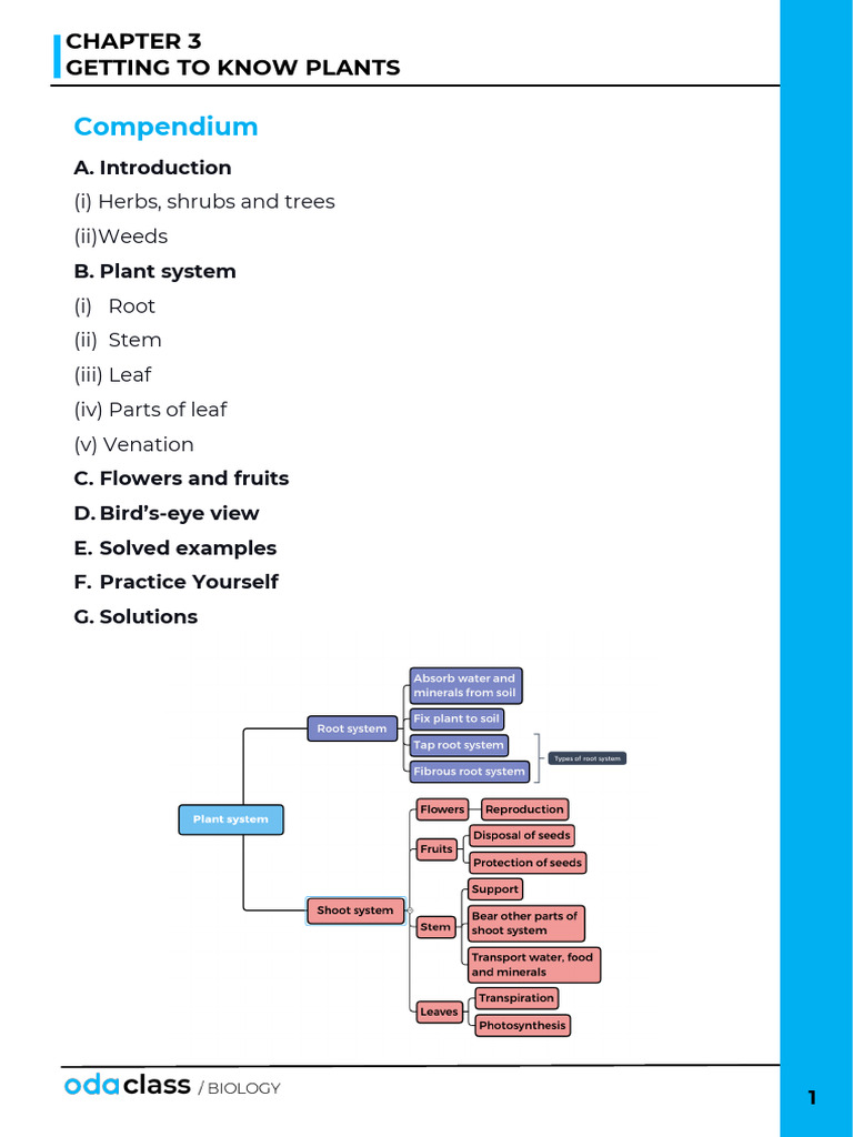 Compendium: Getting To Know Plants | PDF