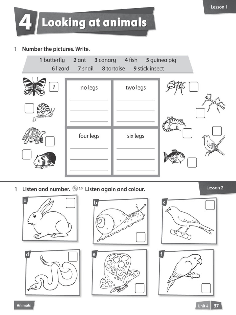 Incredible English 3 Unit 4 Book-38-47 | PDF