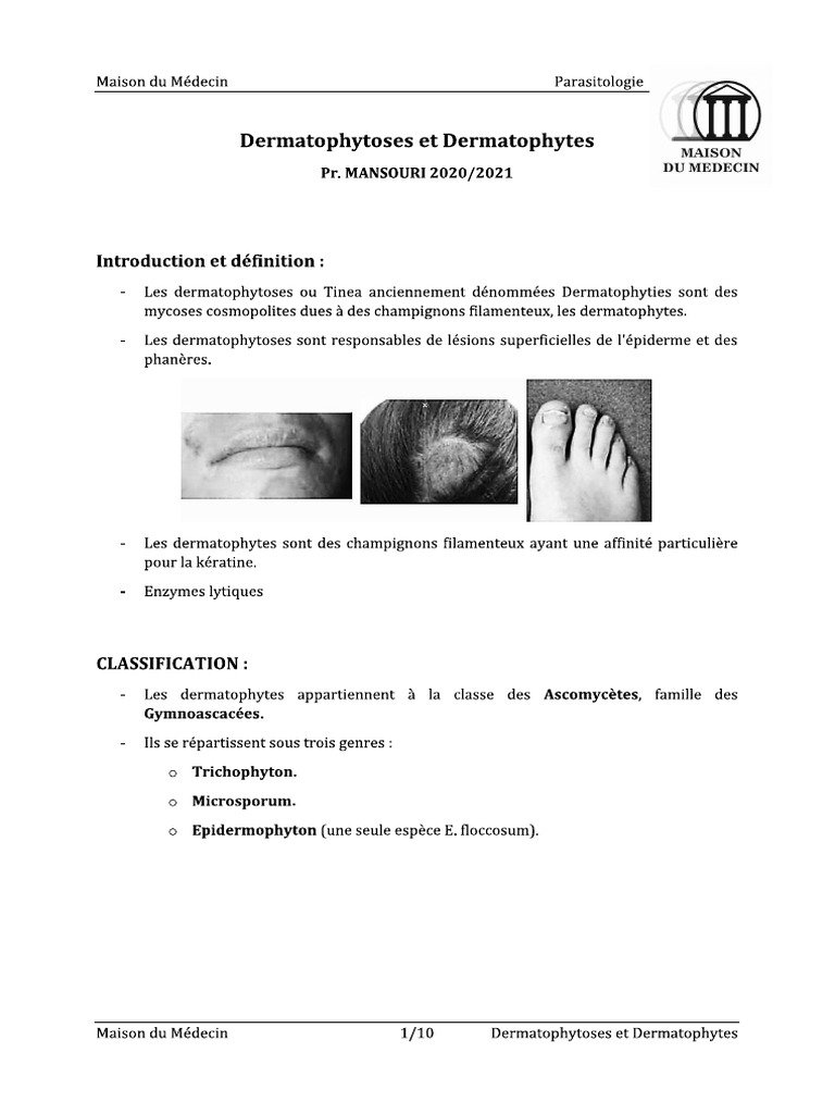 Dermatophytes Et Dermatophytoses Mansouri 2021 | PDF