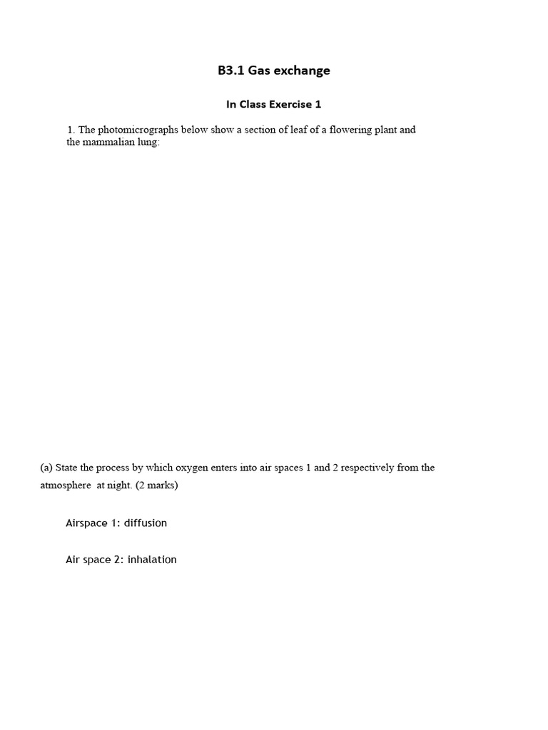 B3.1 - in Class Exercise 1 - Gas Exchange in Plants | PDF