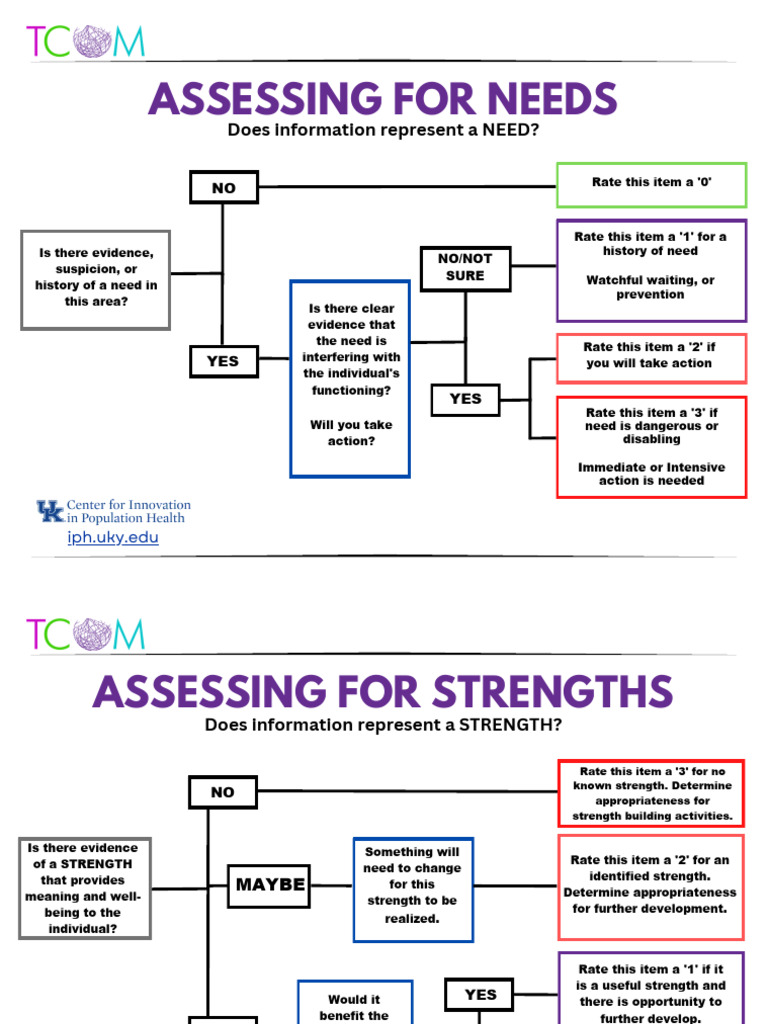 Assessing For Needs and Strengths Flowchart - Updated - 2023.03.01 | PDF
