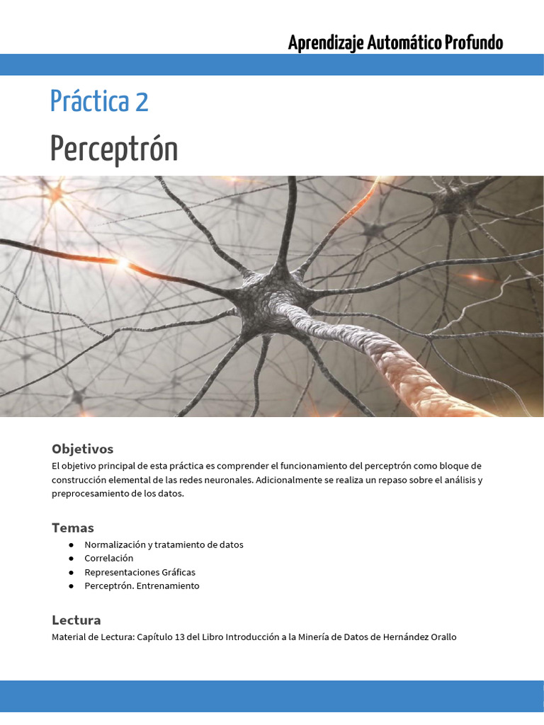 Práctica 2 - Perceptrón | PDF