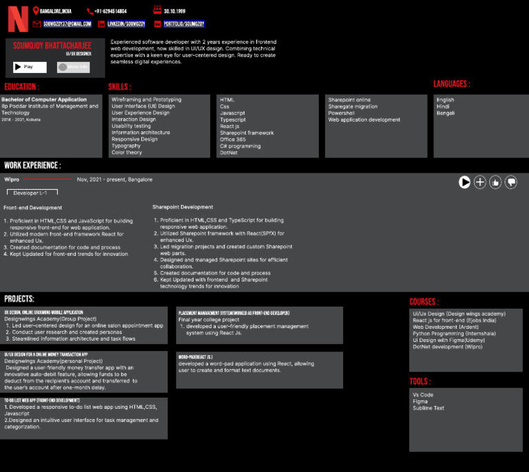 Netflix Resume (1) - Compressed | PDF