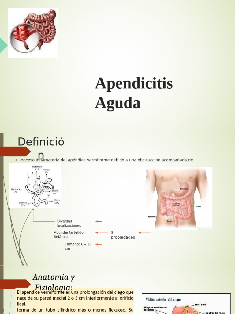 APENDICE | PDF