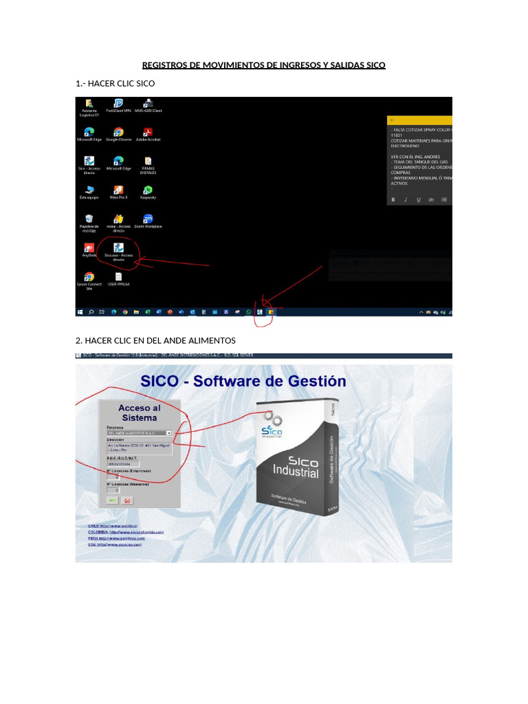Manual Registros Ingresos y Salidas Sico | PDF
