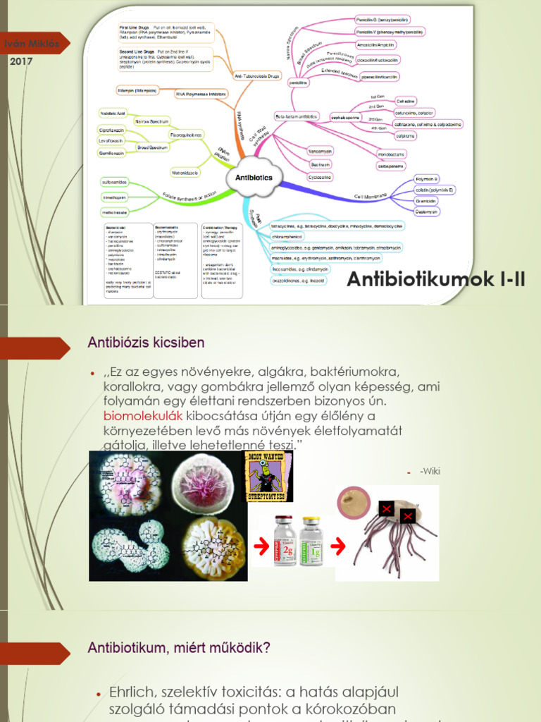Antibiotikum I II | PDF