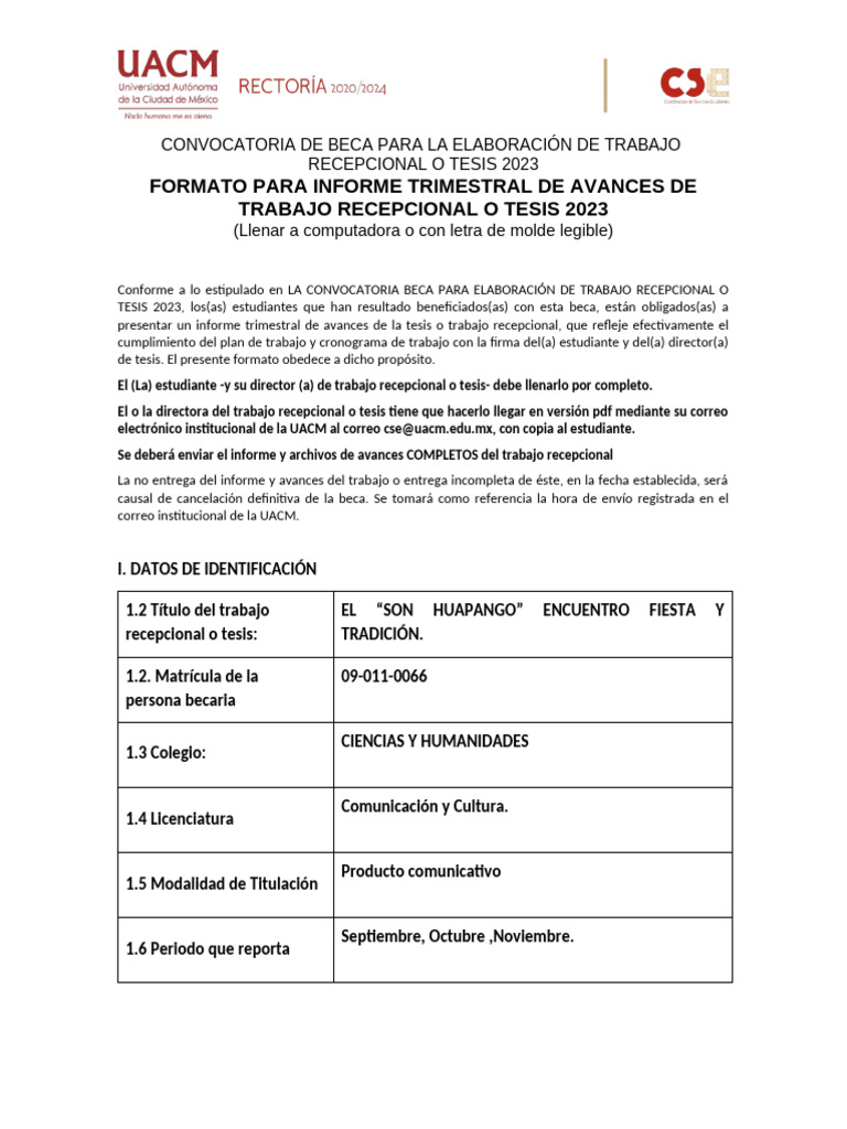 Formato Informe Final. | PDF