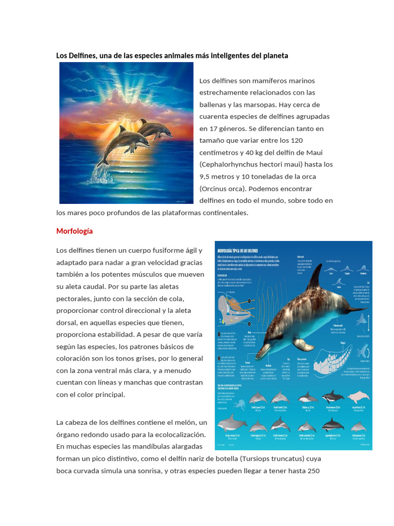 Los Delfines | PDF