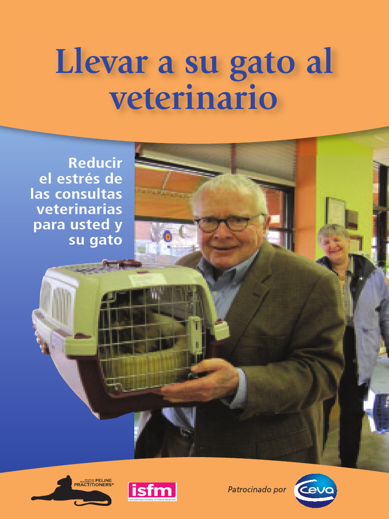 Cat To Vet Handout-ES | PDF