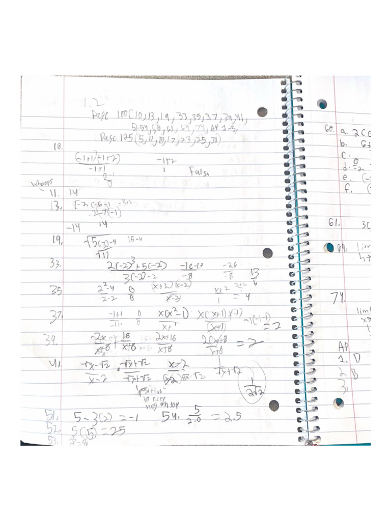 Calculus Homework | PDF