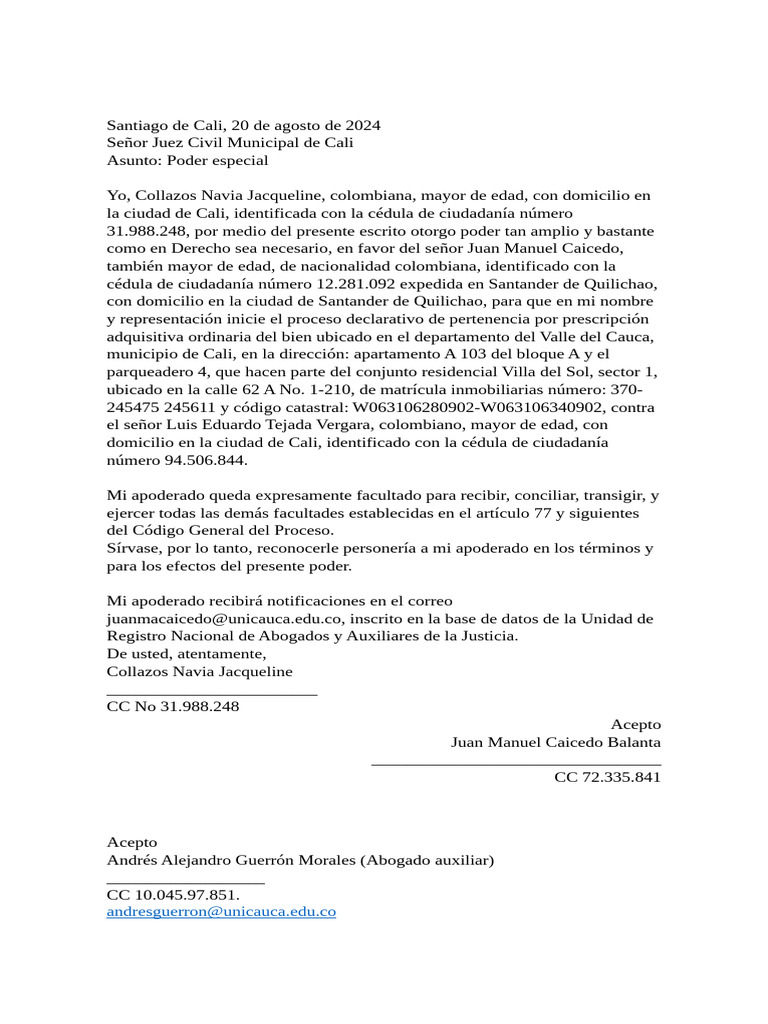 Poder Especial | PDF