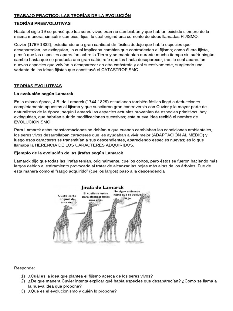 TP Teorías de La Evolución 2022 | PDF