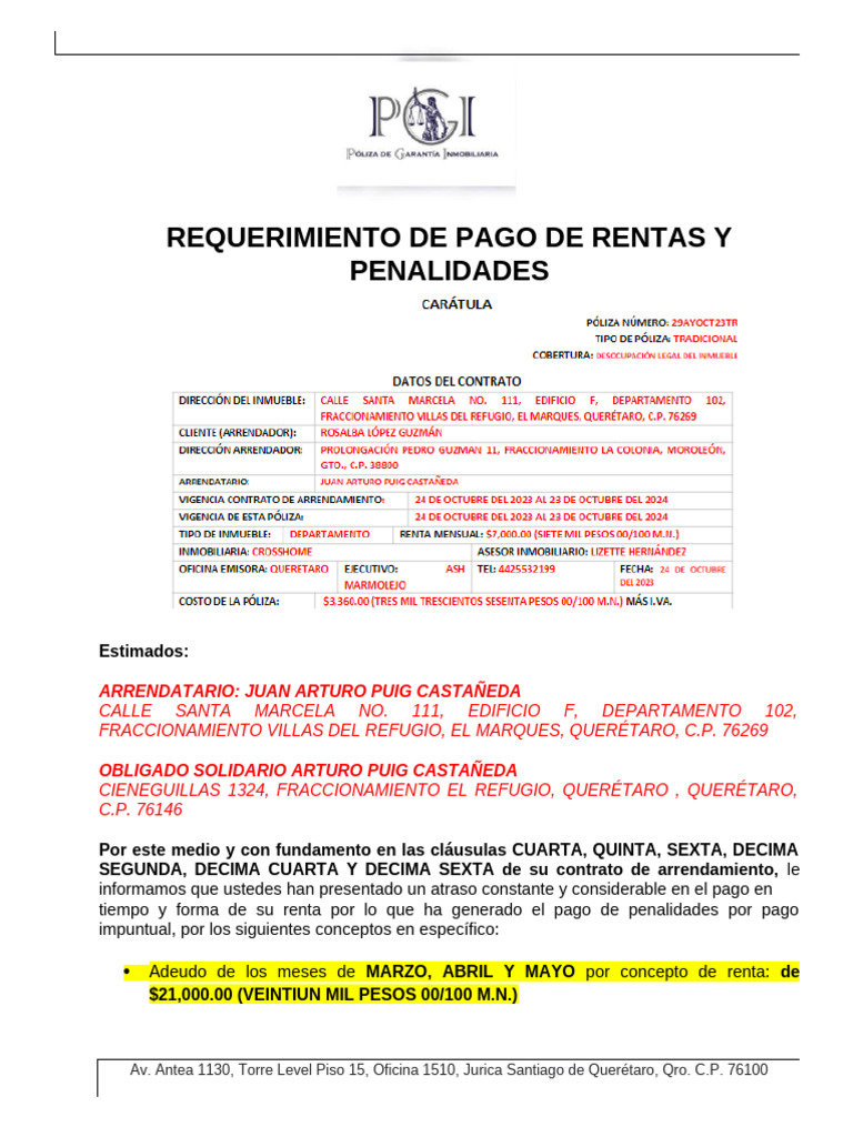 Machote Requerimiento | PDF