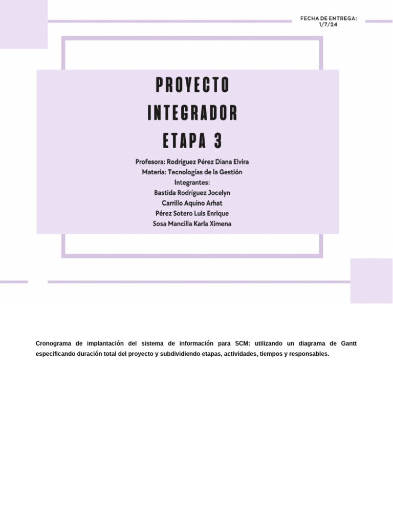 Etapa 3 Proyecto Integrador de Tecnologías | PDF