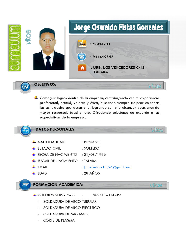 Curriculum Vitae Jorge Fiestas | PDF