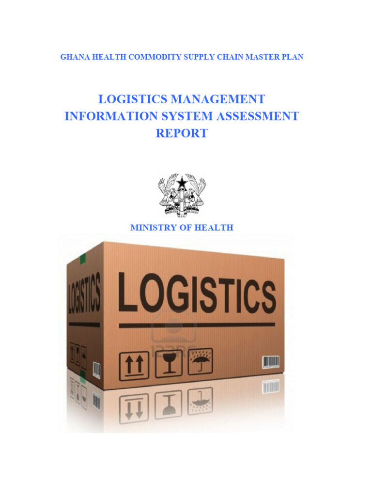 Lmis Assessment Report | PDF
