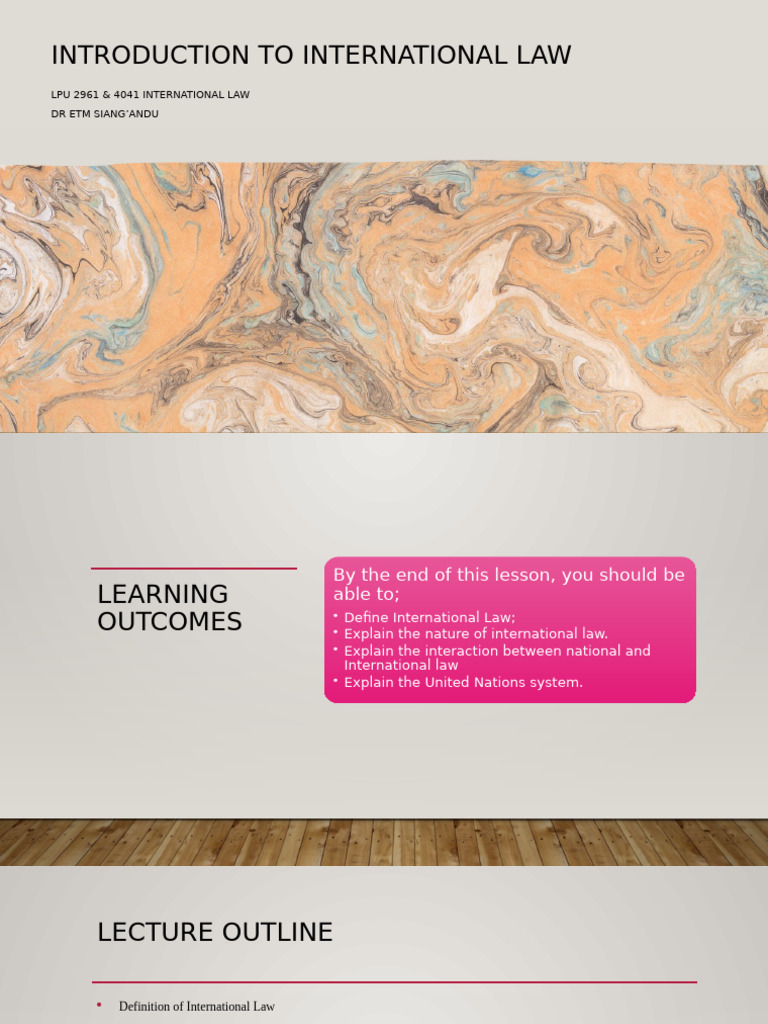 Introduction To International Law | PDF