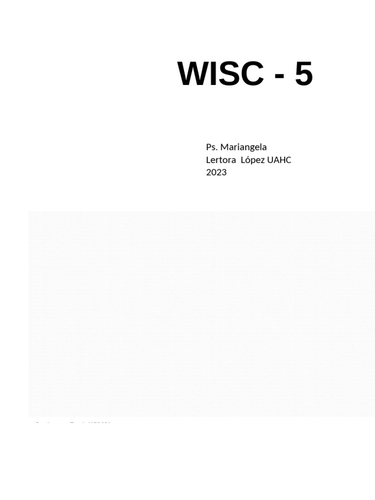 Wisc - V 2023 | PDF