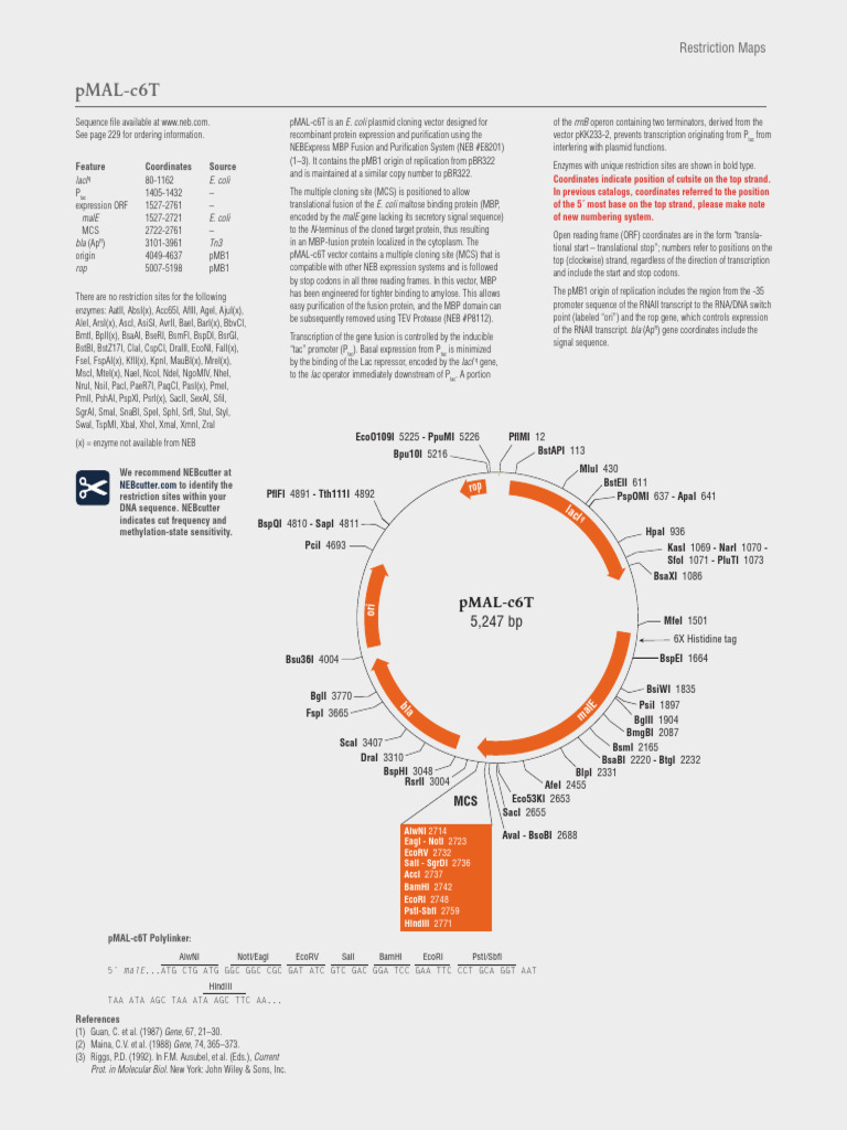 pMAL-c6T Map | PDF