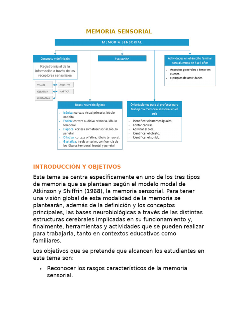 2.memoria Sensorial | PDF