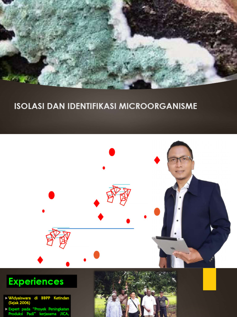 Eksplorasi Dan Perbanyakan Microba Pengurai | PDF