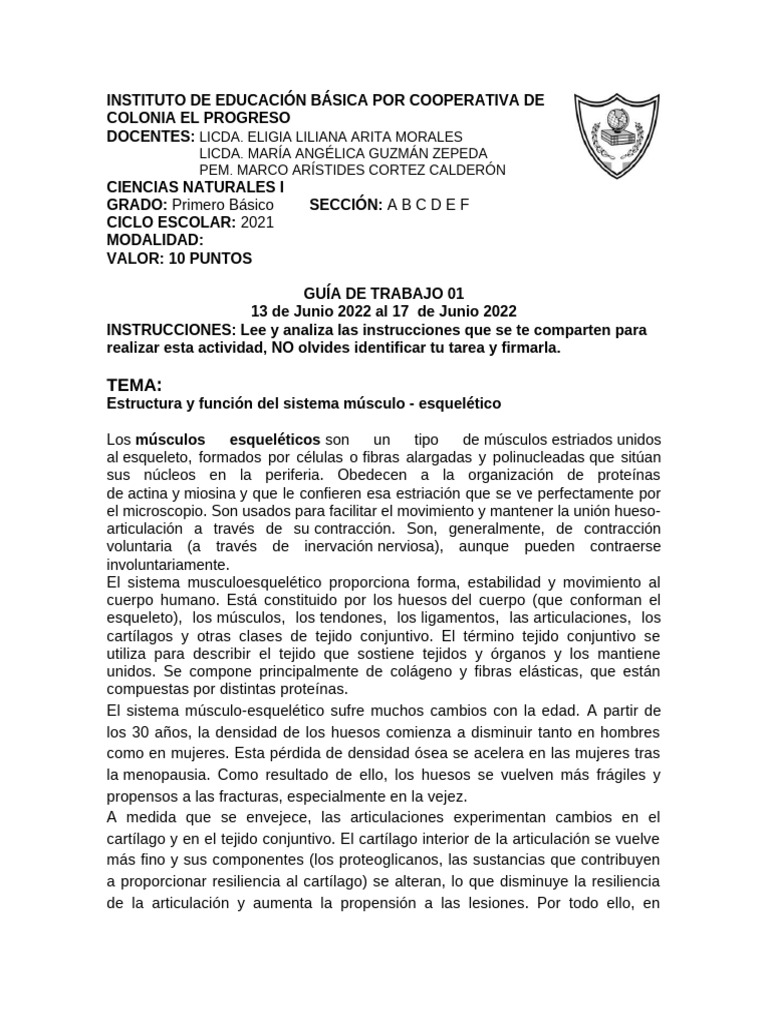 Guia # 1 Iii CCNN | PDF