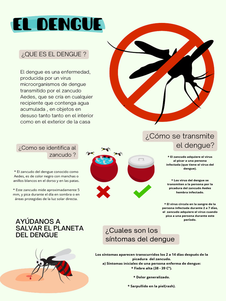 El DENGUE | PDF | Ciencias de la Salud | Causas de la muerte