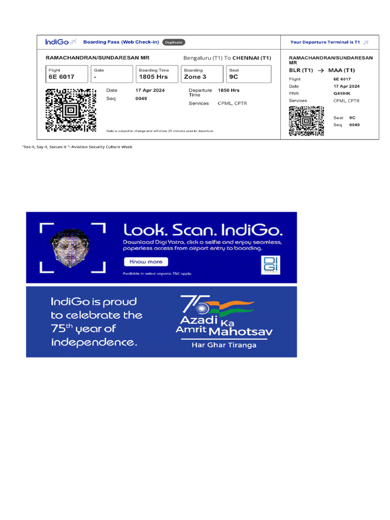 Boarding Pass BLR | PDF