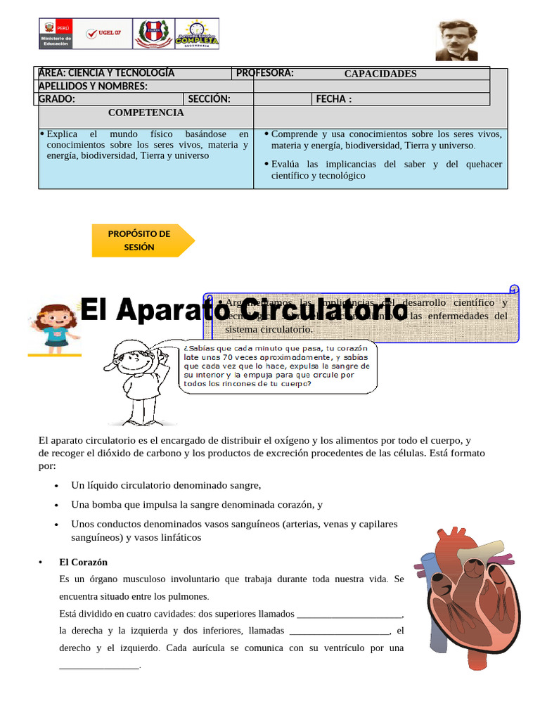 Ficha - Sistema Circulatorio-S22 | PDF